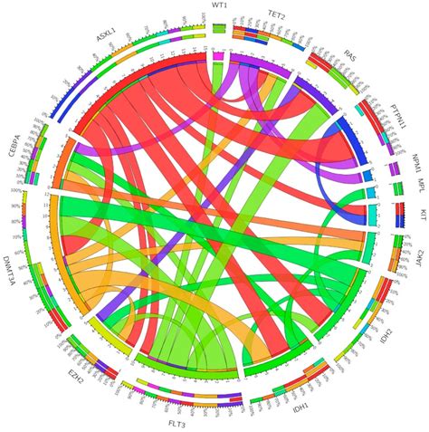 Clinical Outcomes And Co Occurring Mutations In Patients With Runx1