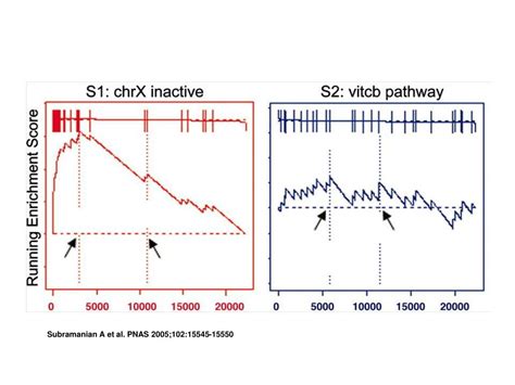 Ppt Gene Set Analysis Using R And Bioconductor Powerpoint Presentation Id 2695079
