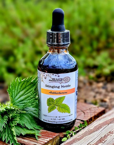 Stinging Nettle Extract ~ Healthprimitive