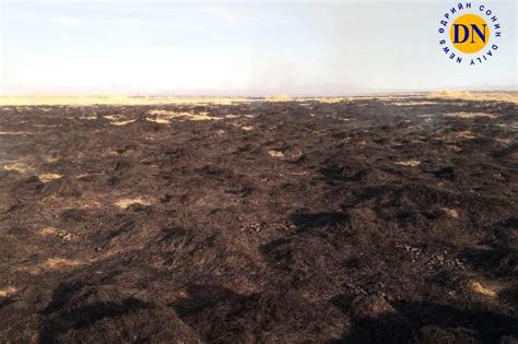 Улсын хэмжээнд ой хээрийн 82 түймэр бүртгэгджээ