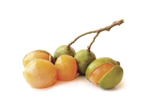 Vida Super Fruits