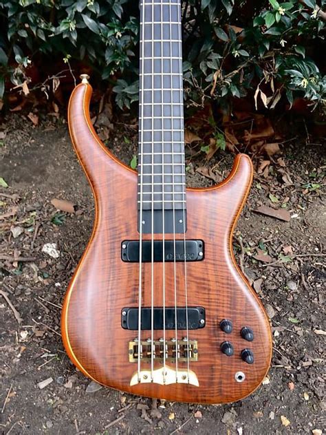 Alembic Orion V 5 String Bass 2000s Natural Reverb