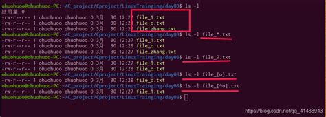 Linux学习笔记08 Linux中的shell命令简介shell命令 Argument Csdn博客