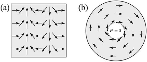 Schematic Illustration Of Analytical Solution For The Polarization Download Scientific Diagram