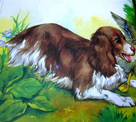 Книга Рассказы о животных малышам Михаил Пришвин Купить книгу читать рецензии Лабиринт