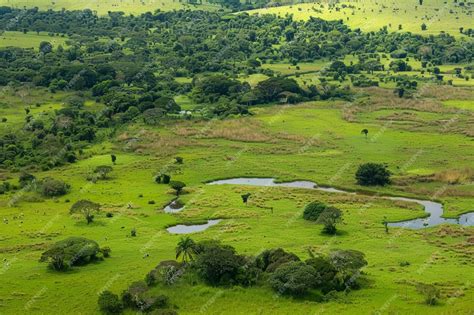 Assessing Habitat Fragmentation Ar Generative Ai Premium Ai Generated Image