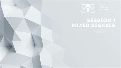 Room 21 Session 1 Mixed Signals 720x400 Ttr Playground Clips4sale