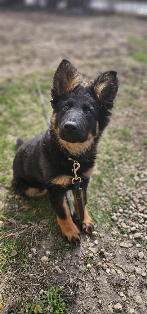 🫗for My Phone Storage Space R Bohemianshepherds