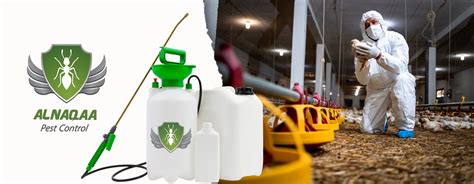 طرق مكافحة الفاش النقاء لمكافحة الحشرات برأس الخيمة الأمارات العربية المتحدة