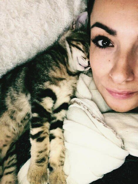 Premium Photo Cat Nap