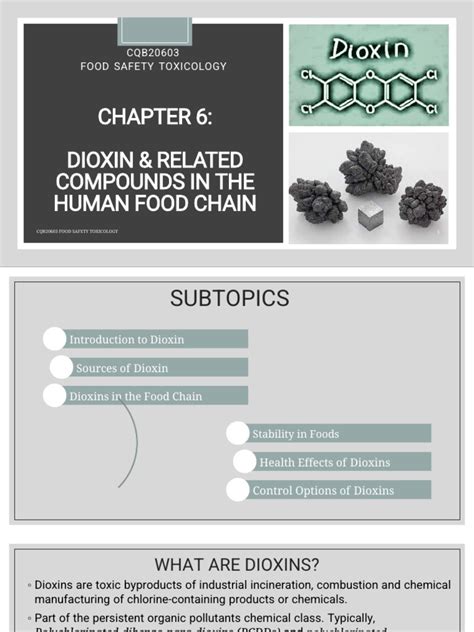 Chapter 6 Dioxin Related Compounds In The Human Food Chain Pdf Polychlorinated