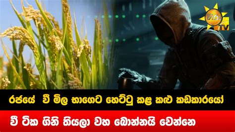රජයේ වී මිල භාගෙට හෙට්ටු කළ කළු කඩකාරයෝ වී ටික ගිනි තියලා වහ බොන්නයි වෙන්නෙ Hiru News Youtube