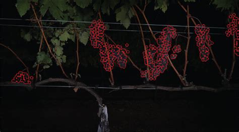 Ground Truth Generation For Segmentation Performance Benchmarking A Download Scientific