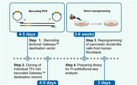 Protocol To Identify Defined Reprogramming Factor Expression Using A Factor Indexing Single