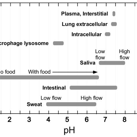 The Ideal Ph Range For Proper Physiological Function Of Most Of The