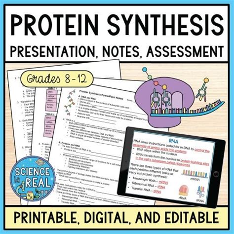 Protein Synthesis PowerPoint Notes Questions And Kahoot Science Is Real Education