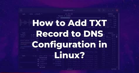 how to add txt record to dns configuration in linux