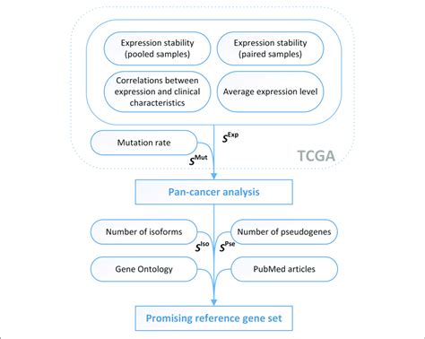 The Pipeline For Identification Of Promising Reference Genes For Qpcr Download Scientific