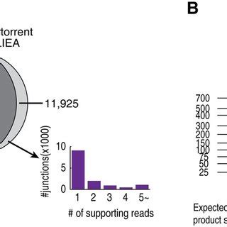 Low Input And Low Bias Ion Torrent MRNA Seq A Principle Of The Download Scientific Diagram