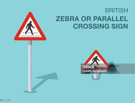 교통 규제 규칙 고립된 영국의 얼룩말 또는 평행 교차로 도로 표지판 전면 및 상단 뷰 벡터 일러스트 레이 션 템플릿 거리에 대한 스톡 벡터 아트 및 기타 이미지 Istock