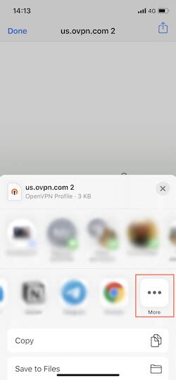 Install Openvpn On Ios 13