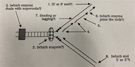 Ch 4 Flashcards Quizlet