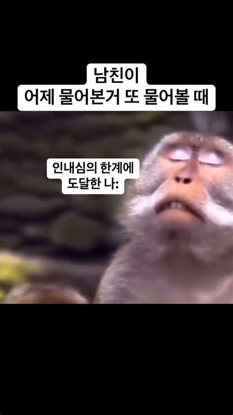 Pawsandlove Pal 몇 번 째야 Pawsnlove Pal 연애스타그램 커플스타그램 Instagram