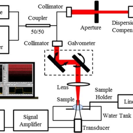 Schematic Of System Setup Combining Spectral Domain Phase Sensitive OCT