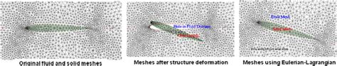 mesh deformation for eulerian and eulerian lagrangian approach