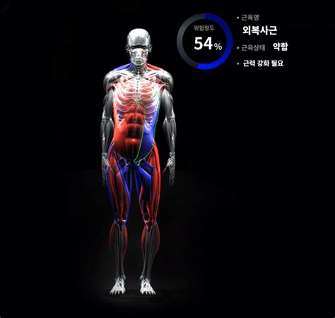 모티피지오 3d 체형분석기 통합 솔루션 주 엠지솔루션스