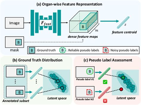figure 1 from cosst multi organ segmentation with partially labeled datasets using