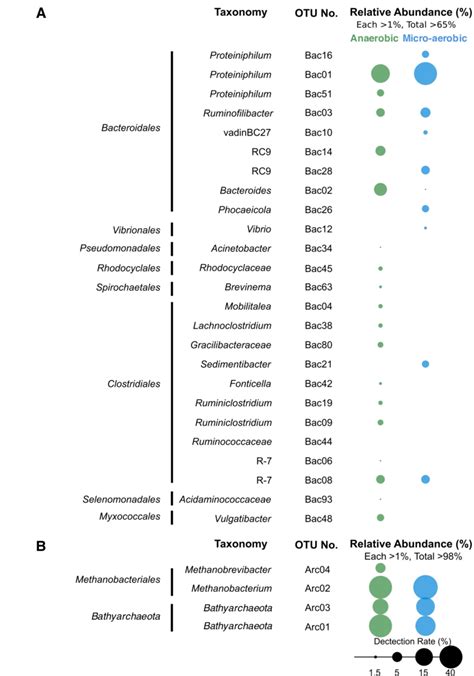11 Bacterial Community Structure A And Archaeal Community Structure Download Scientific