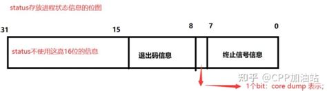 Linux进程控制wait 和 waitpid的理解和使用 知乎