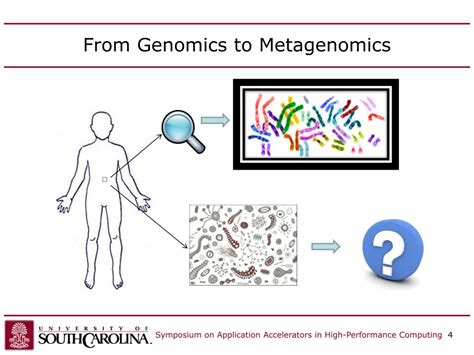 Ppt Yang Gao Jason D Bakos Heterogeneous And Reconfigurable Computing Lab Herc Powerpoint