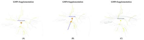 Reactome Pathway Map Analysis Of Proteomic Data Following Broiler Download Scientific Diagram