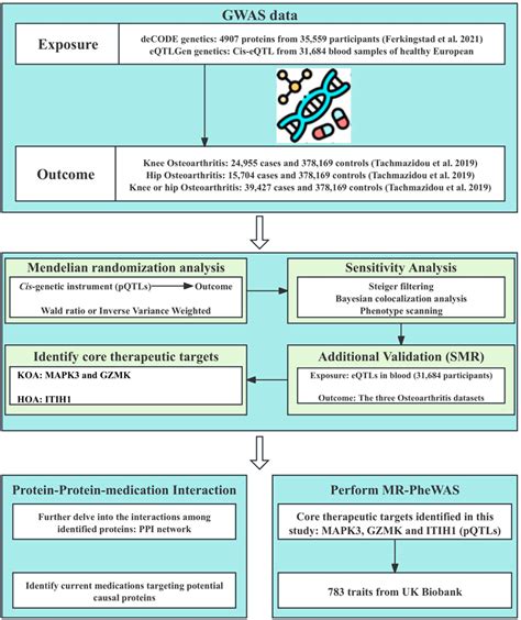 Figure 1 From Proteome Wide Mendelian Randomization And Colocalization