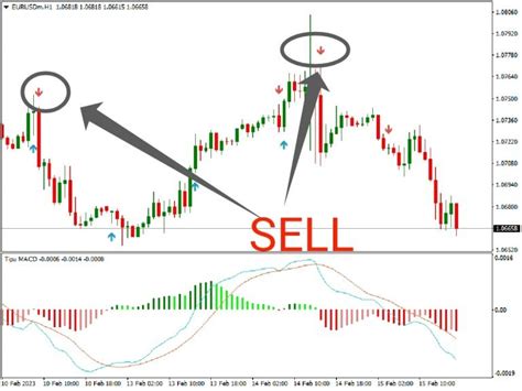 Tipu Macd Indicator The Forex Geek