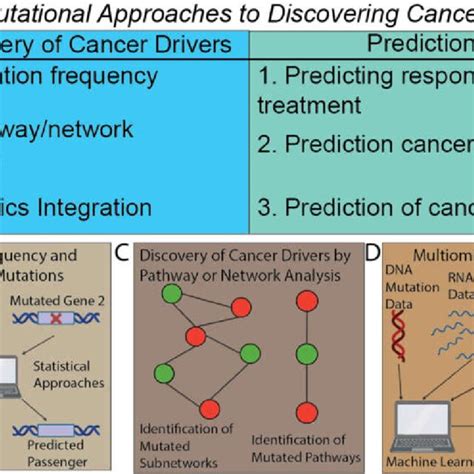 Overview Of Computational Approaches For Using Mutational Patterns