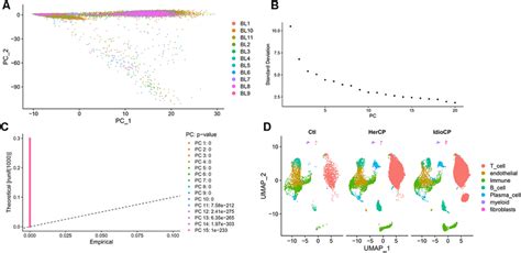 Single Cell Sequencing Data Preprocessing A Principle Component Download Scientific Diagram