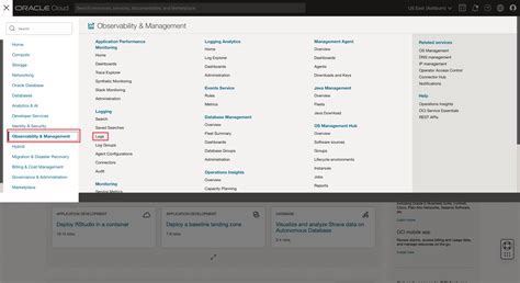 Use Oci Api Gateway Functions And Observability To Validate Json