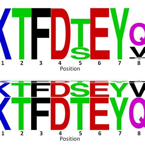 a workflow that includes bioinformatics tools reasoning and