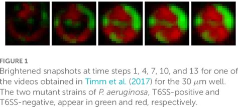 Figure 1 From Video Frame Prediction Of Microbial Growth With A