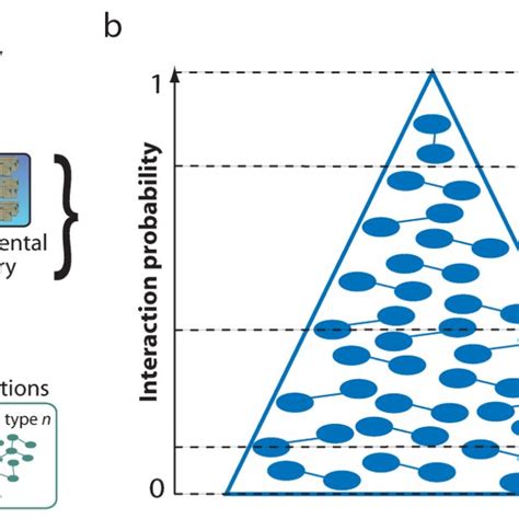 Simulating An Interaction Mapping Project Download Scientific Diagram