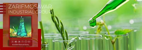 Important Polymers In Our Daily Life Zarif Mosavar Industrial Group