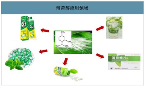 一文快速了解薄荷醇的应用及市场 知乎