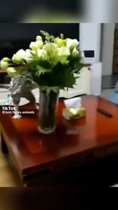 Bubbles💥irl R Bubbles Irl