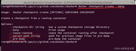 Docker容器热迁移实现，checkpoint预拷贝实现docker Checkpoint Csdn博客