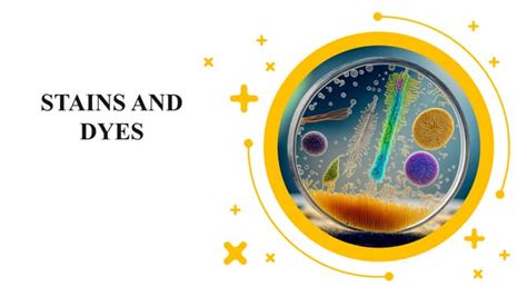 Stainingpptx Staining Is A Technique Used To Ppt