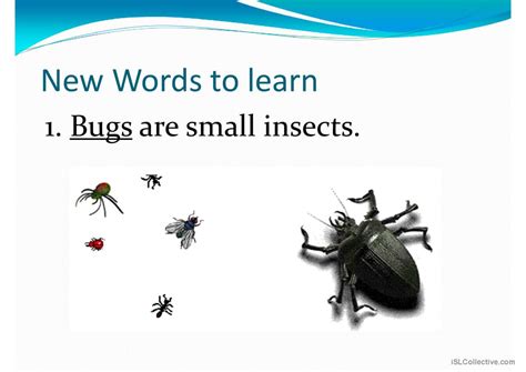 Bugs General Reading Comprehension English Esl Powerpoints