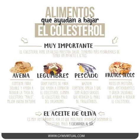 Alimentos Que Ayudan A Bajar El Colesterol Gym Virtual